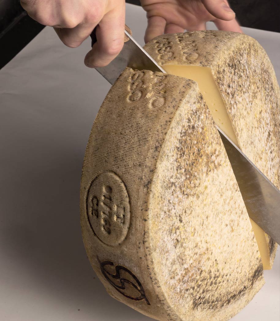 LOST – Looking for the sustainability of taste in europe